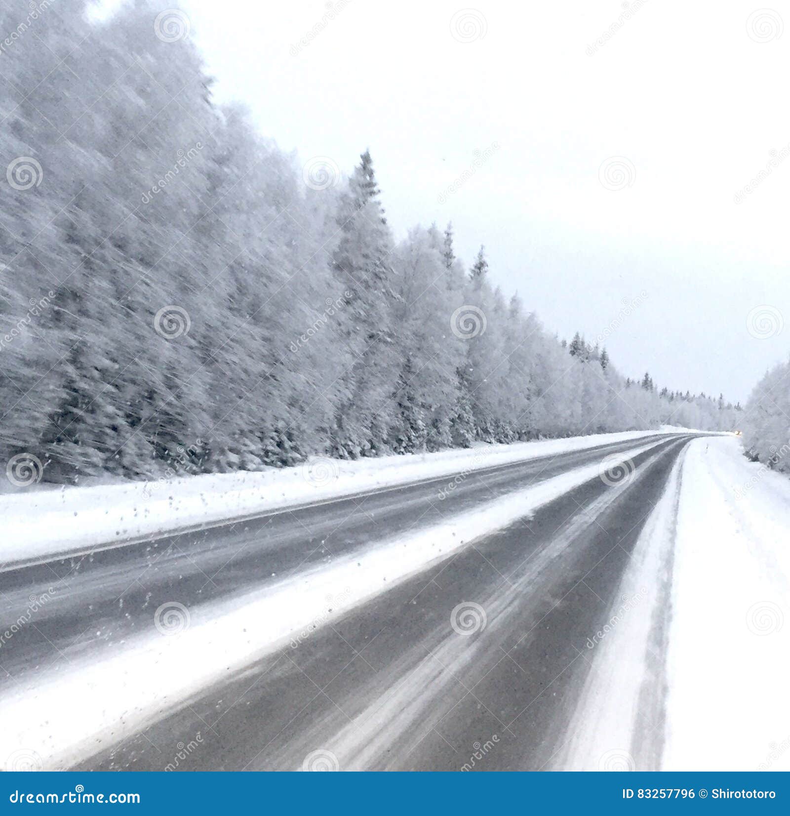 Snowy Road stock photo. Image of trees, lonely, quiet - 83257796