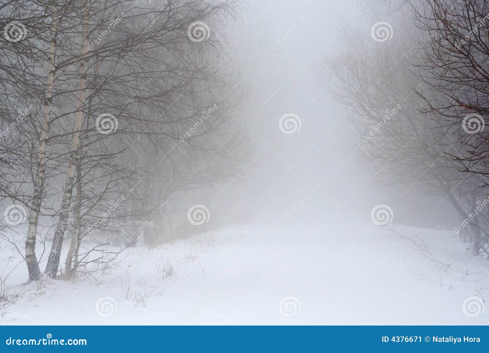 Snowy road in fog stock image. Image of scenics, cold - 4376671