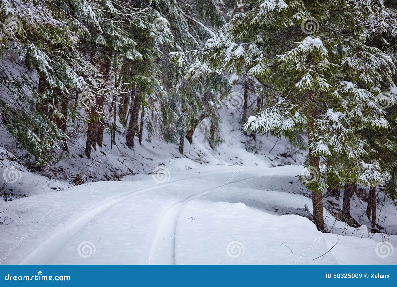 Snowy road in the forest stock image. Image of trail - 50325009