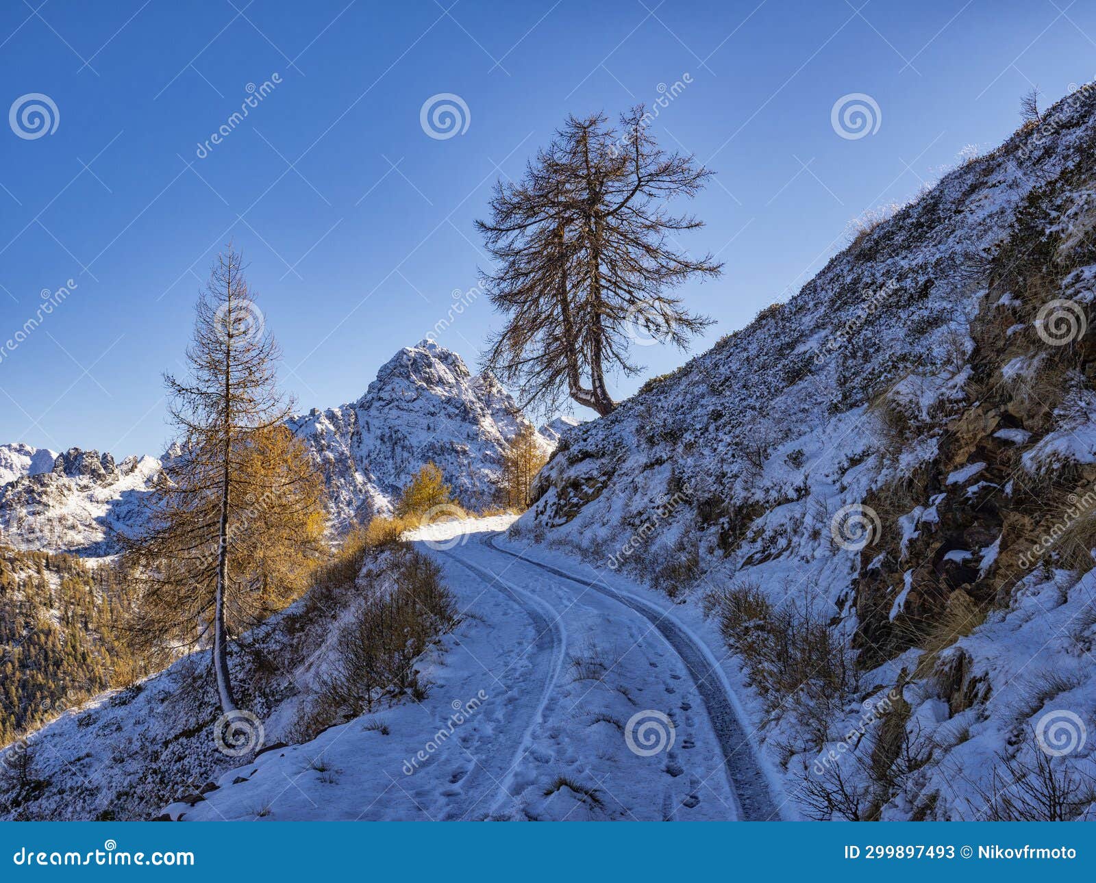 Snowy Road in the Italian Alps Stock Image - Image of famous, nature ...