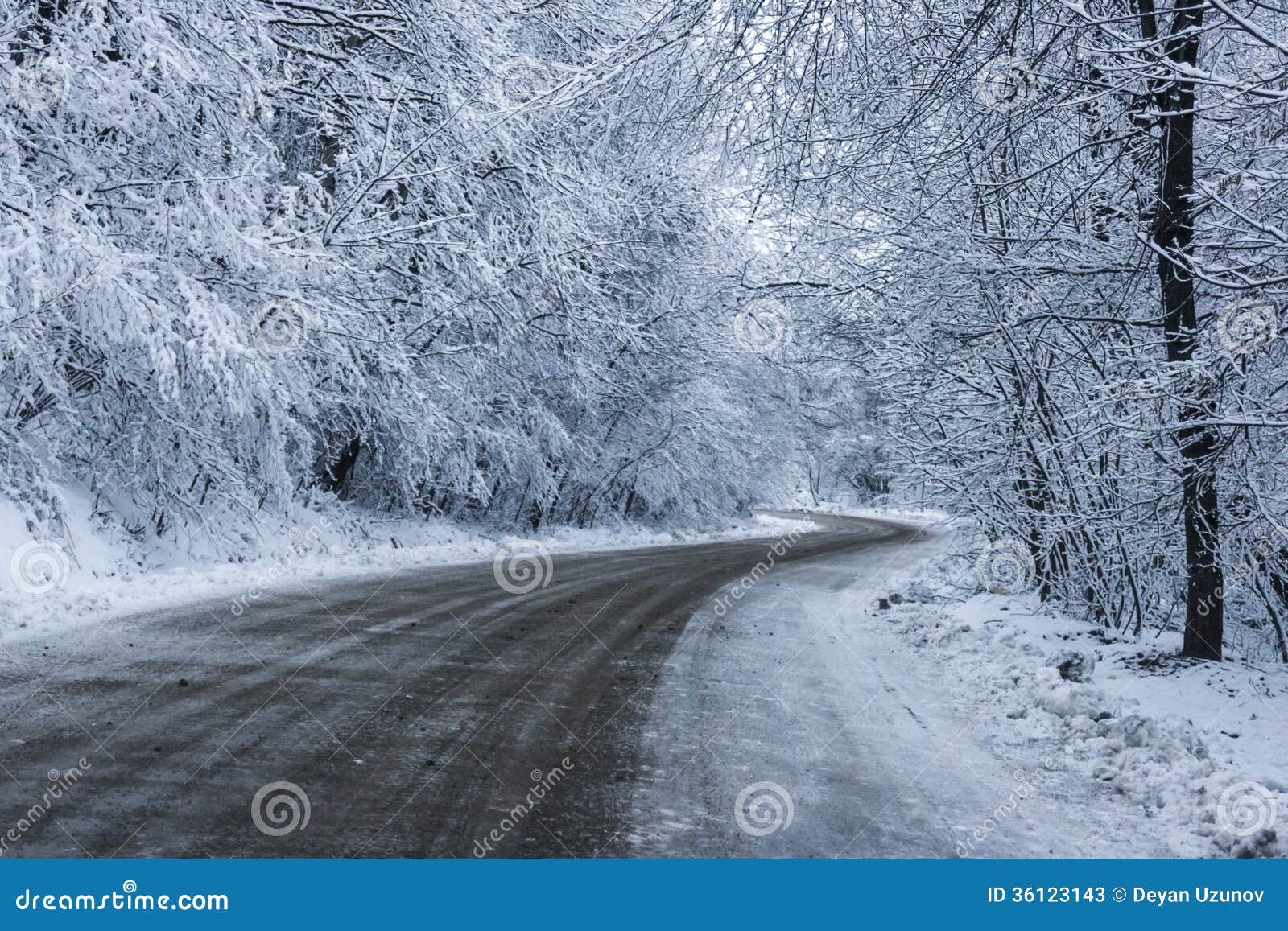 Snowy Road stock image. Image of trees, icey, winter - 36123143