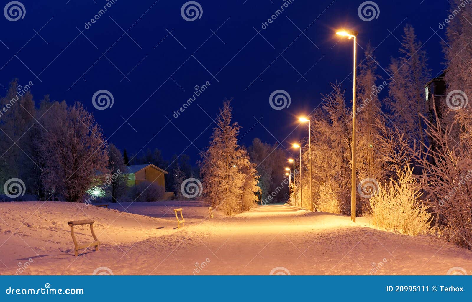 Snowy road at night stock image. Image of wintry, countryside - 20995111