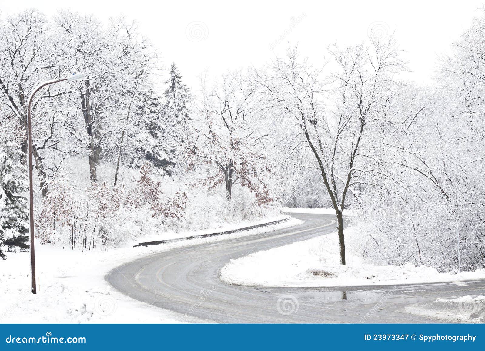 Snowy Roadway stock image. Image of trees, beauty, snowy - 23973347