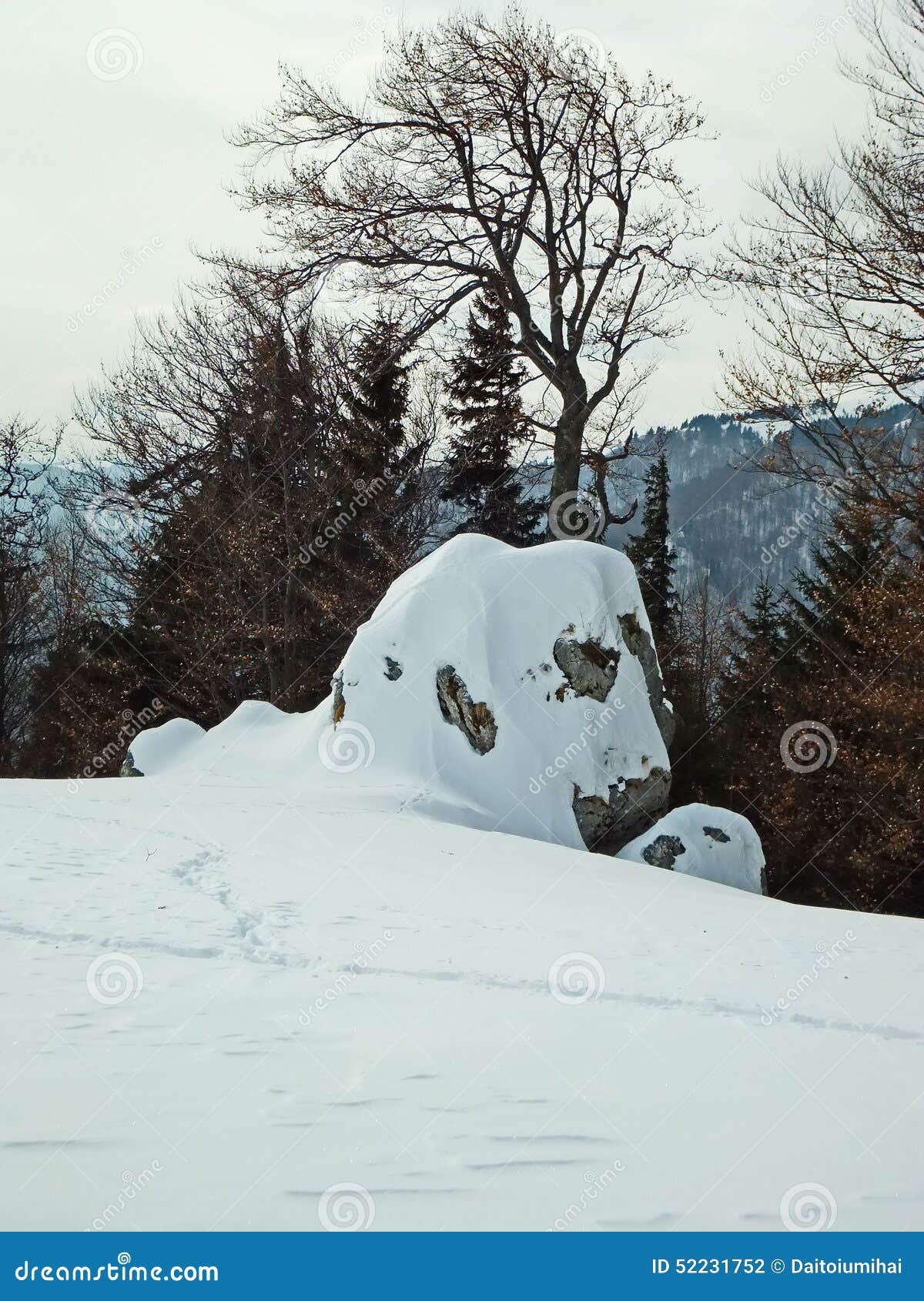 Snowy rock stock photo. Image of winter, trail, rock - 52231752