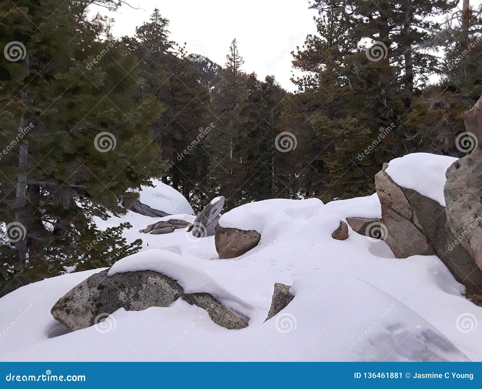 Snowy rocks stock image. Image of snow, covered, rocks - 136461881
