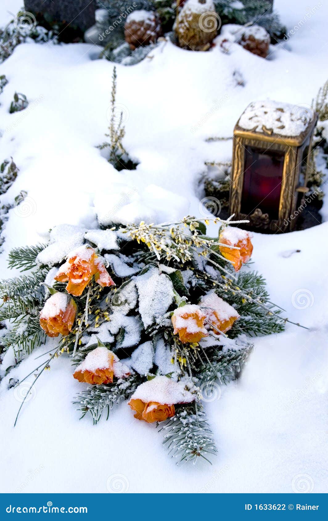 Snowy rose bouquet stock photo. Image of death, roses - 1633622