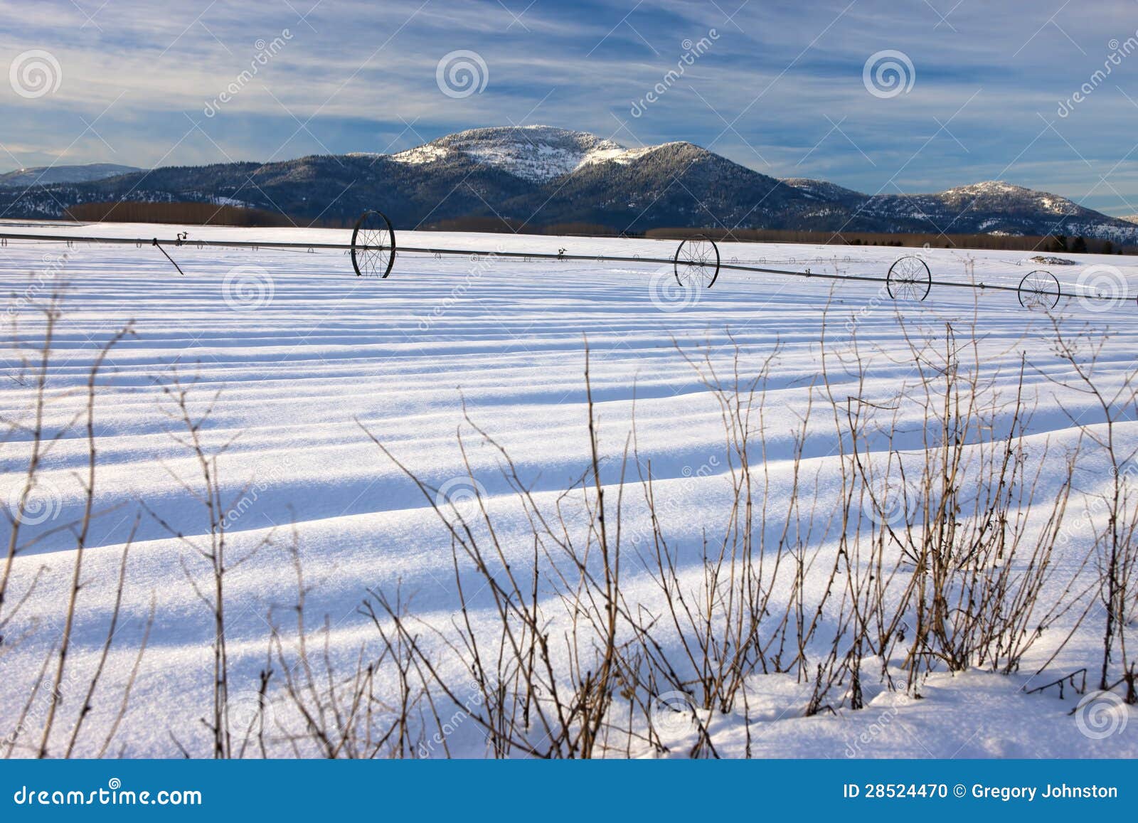 Snowy rural landscape. stock photo. Image of white, cold - 28524470