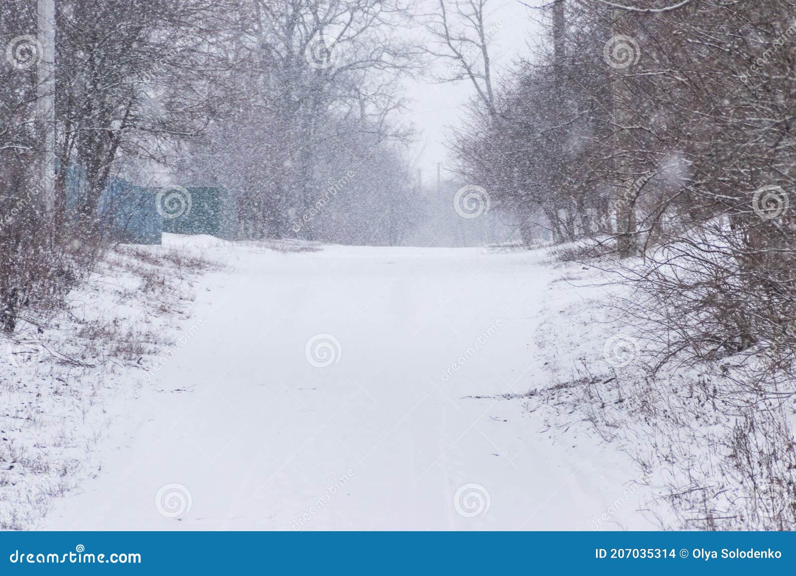 Snowy Rural Street during Snowfall Stock Photo - Image of outdoor ...