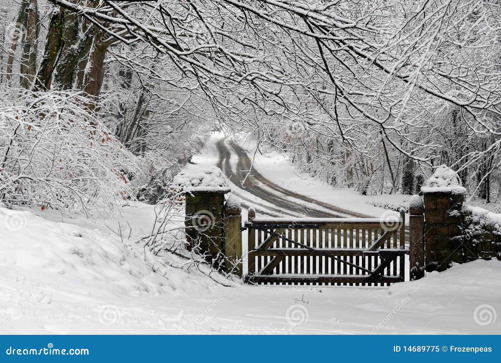 Snowy Scene stock image. Image of road, frosty, cold - 14689775