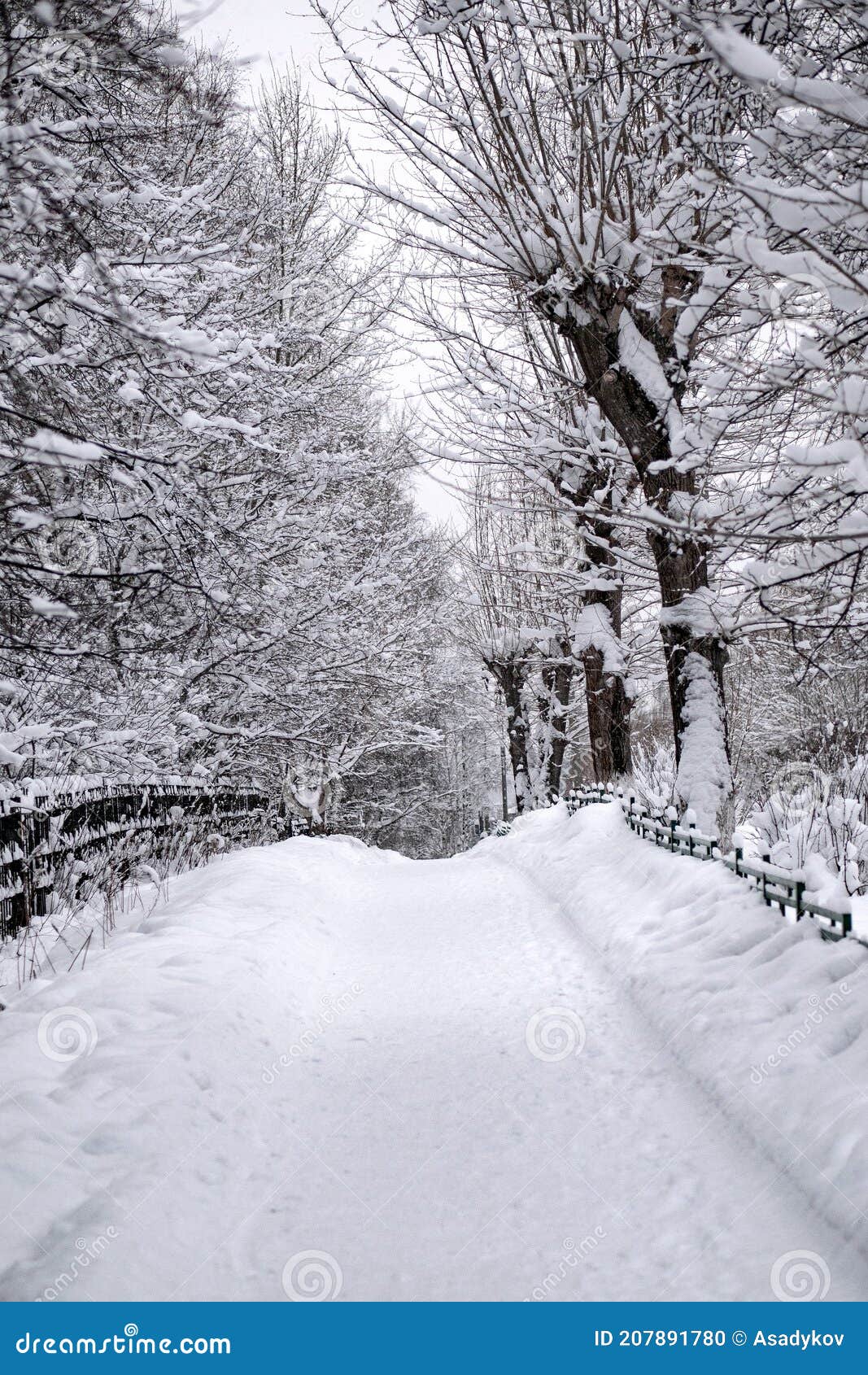 Snowy Sidewalk, Snow Fall Aftermath Stock Photo - Image of pathway ...