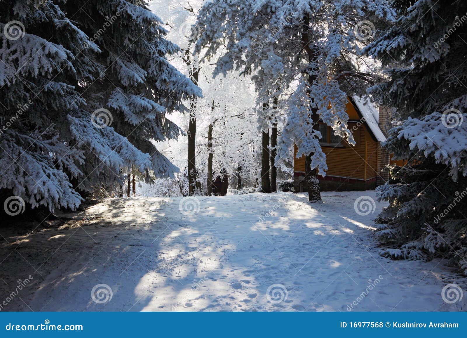 Snowy ski hotel stock photo. Image of holiday, adventure - 16977568