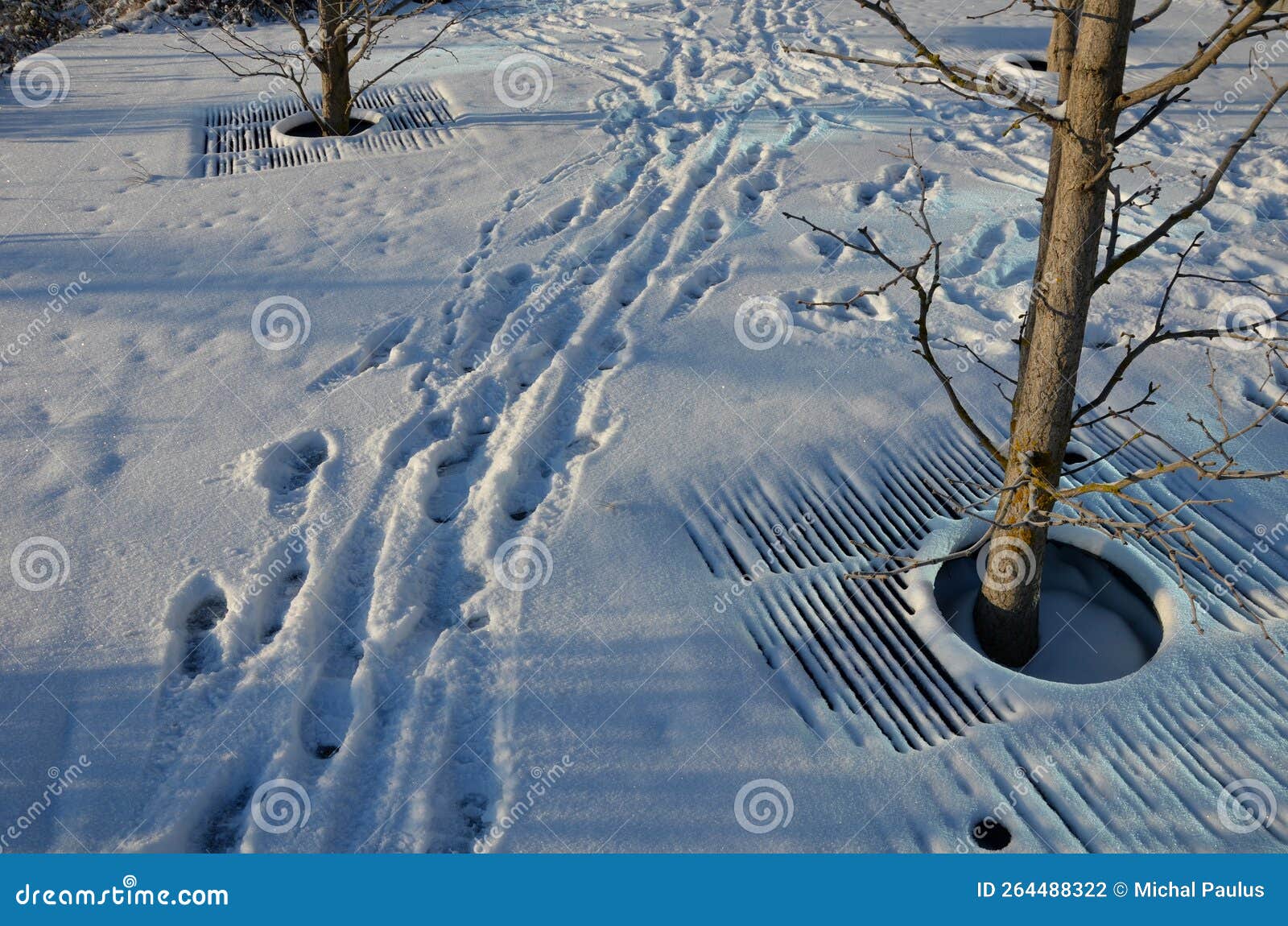 Snowy with a Small Layer of Snow. a Grid with a Circular Hole Stock ...