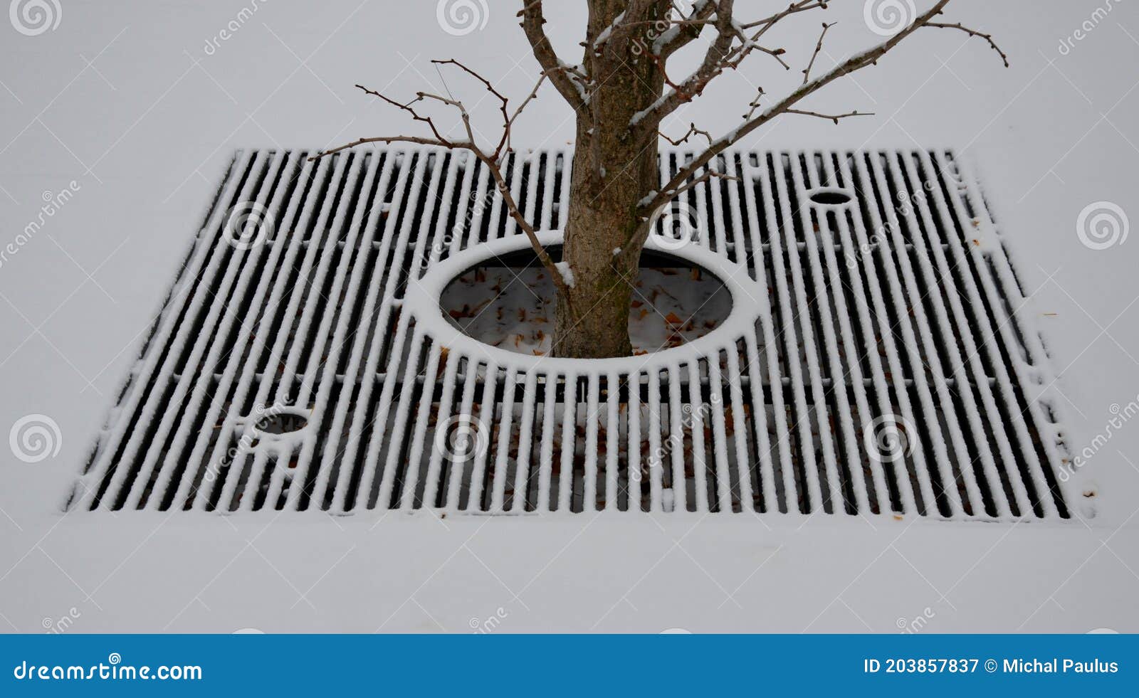 Snowy with a Small Layer of Snow. Lattice with a Circular Hole for the ...