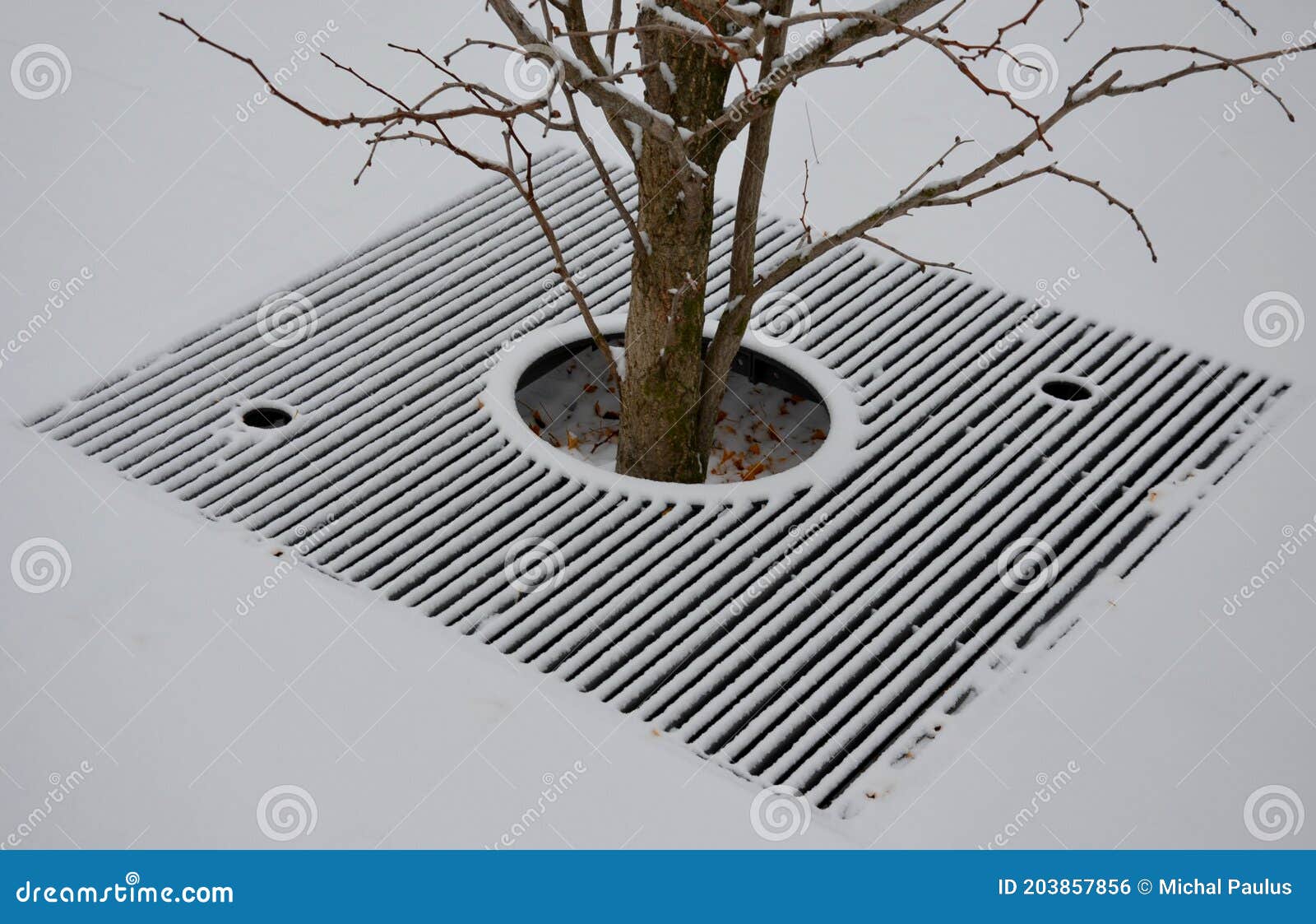 Snowy with a Small Layer of Snow. Lattice with a Circular Hole for the ...