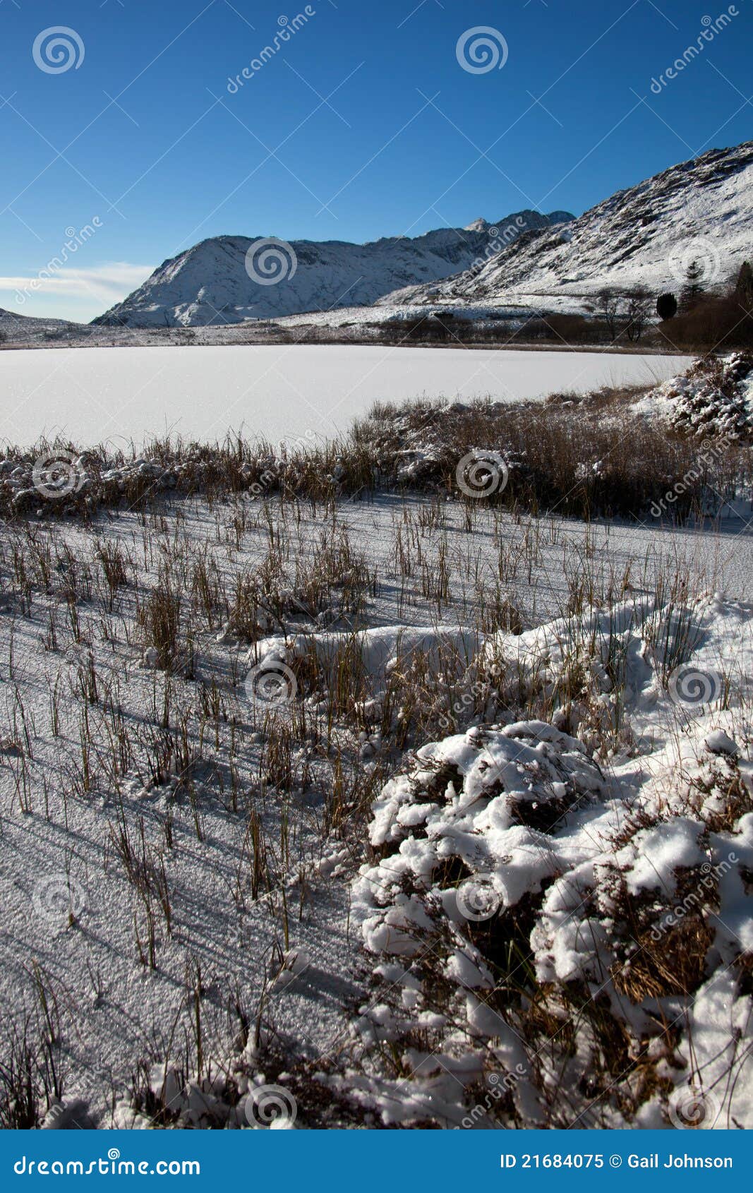 Snowy Snowdonia stock image. Image of landscape, snowdonia - 21684075