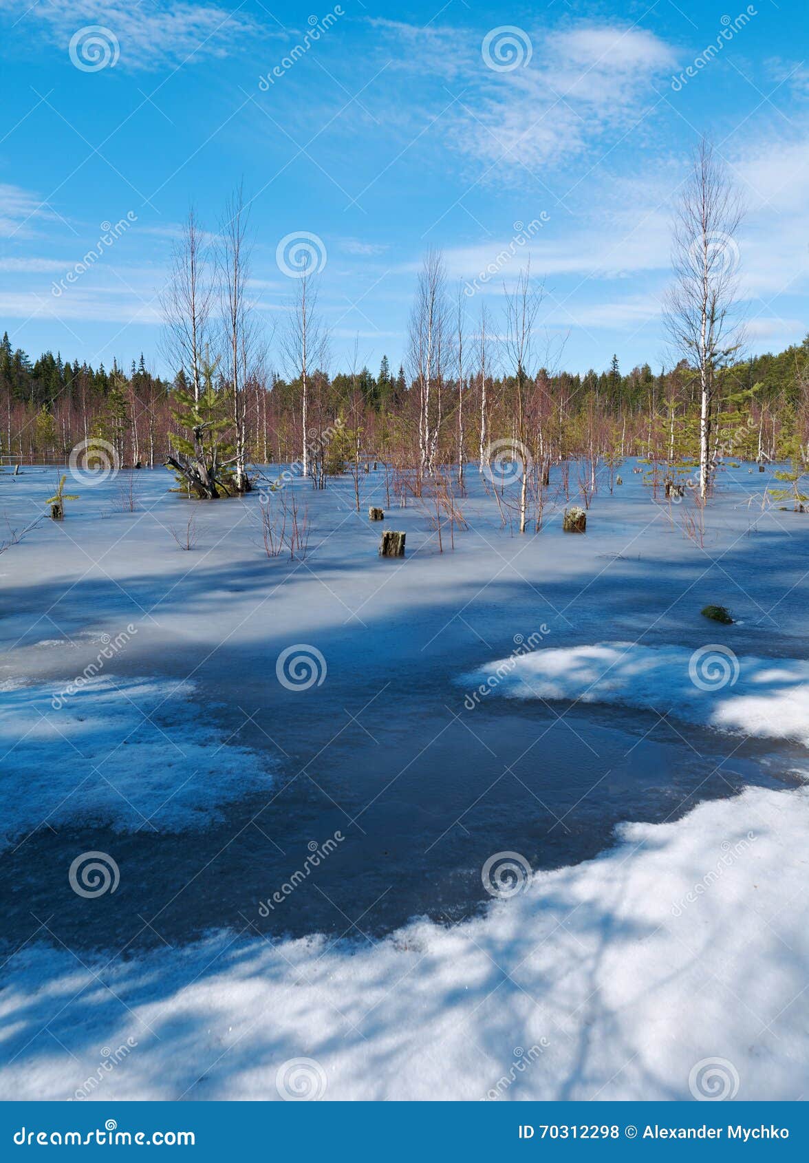 Snowy spring landscape stock photo. Image of outdoor - 70312298