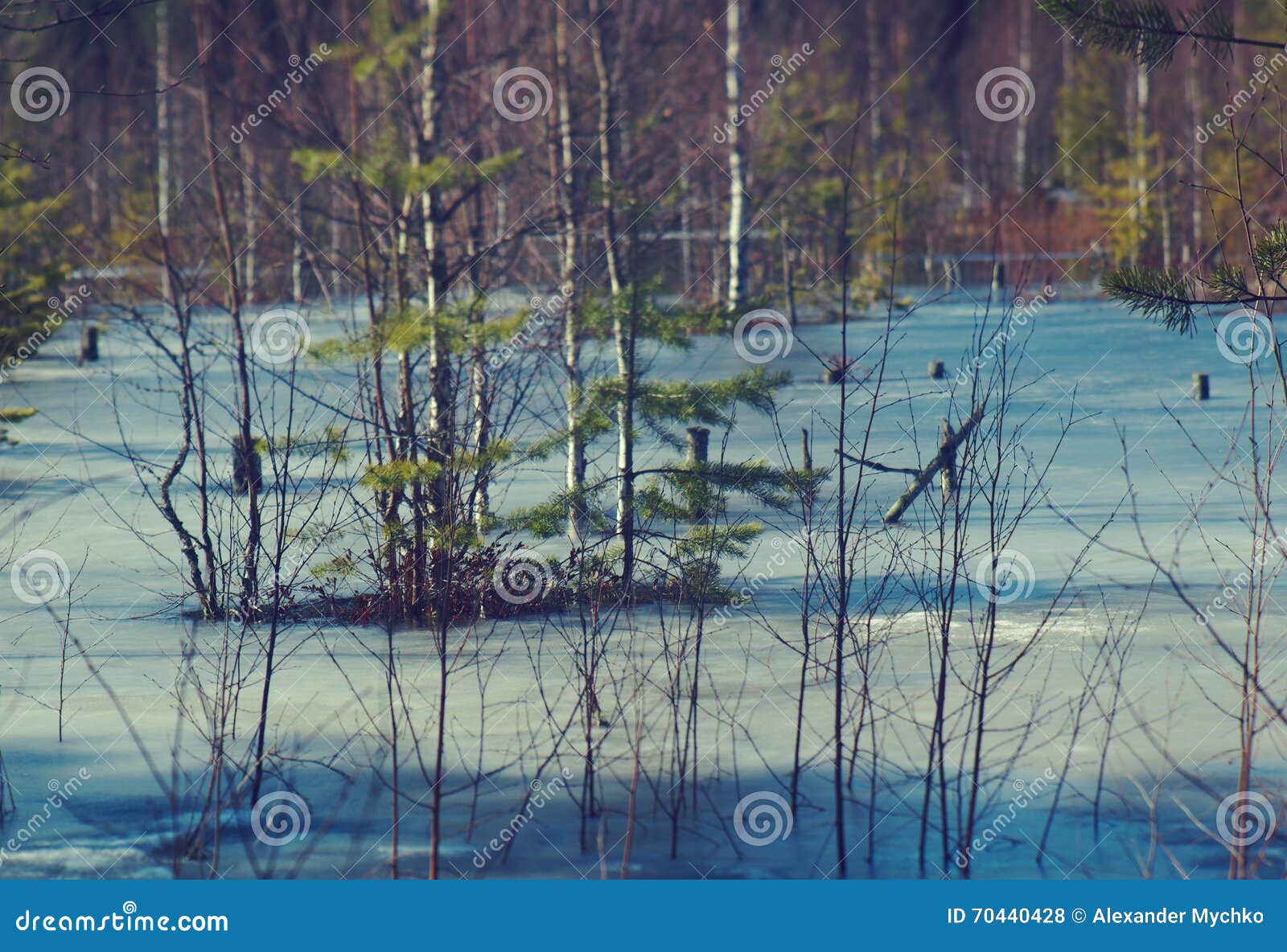 Snowy spring landscape stock photo. Image of cloud, outdoor - 70440428