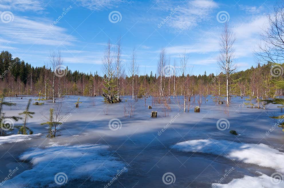 Snowy spring landscape stock image. Image of nature, season - 70778337