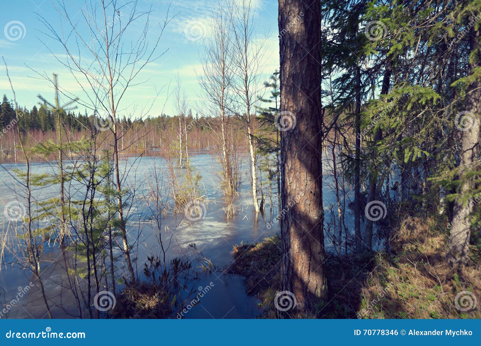 Snowy spring landscape stock photo. Image of countryside - 70778346