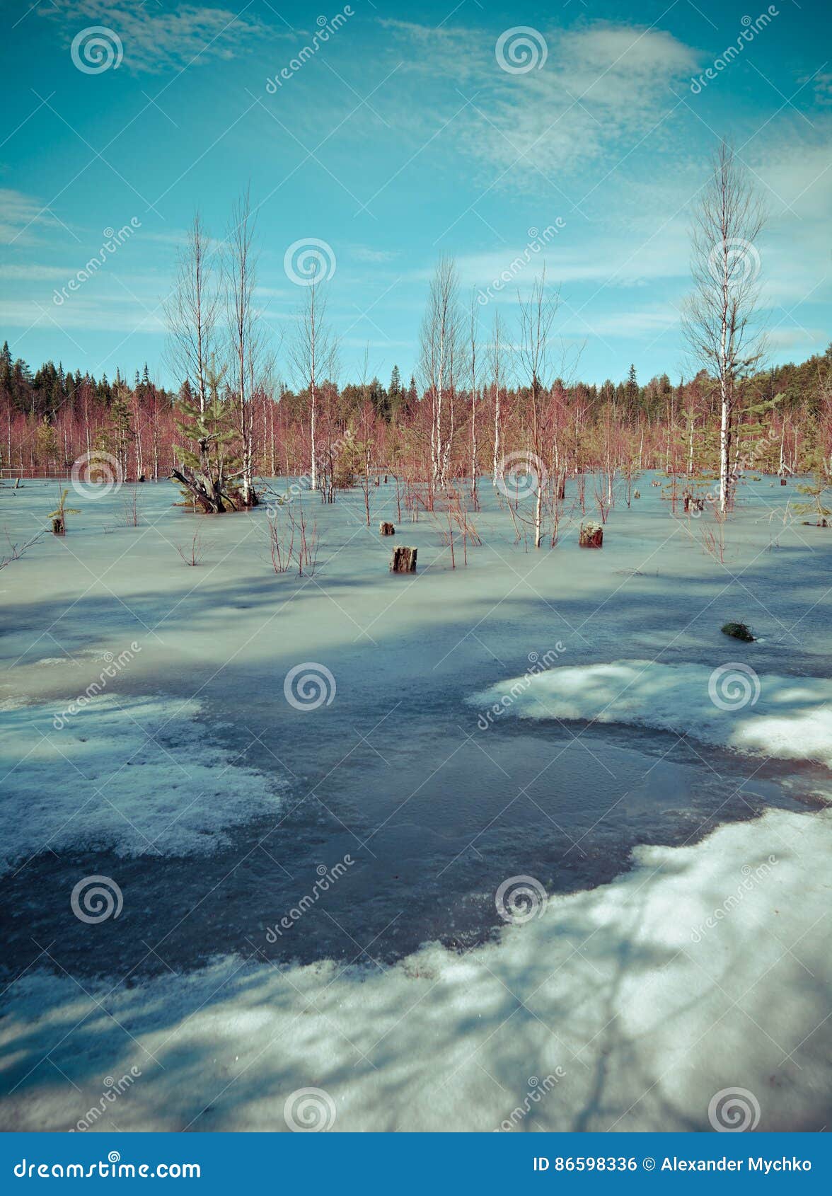 Snowy spring landscape stock photo. Image of season, beautiful - 86598336