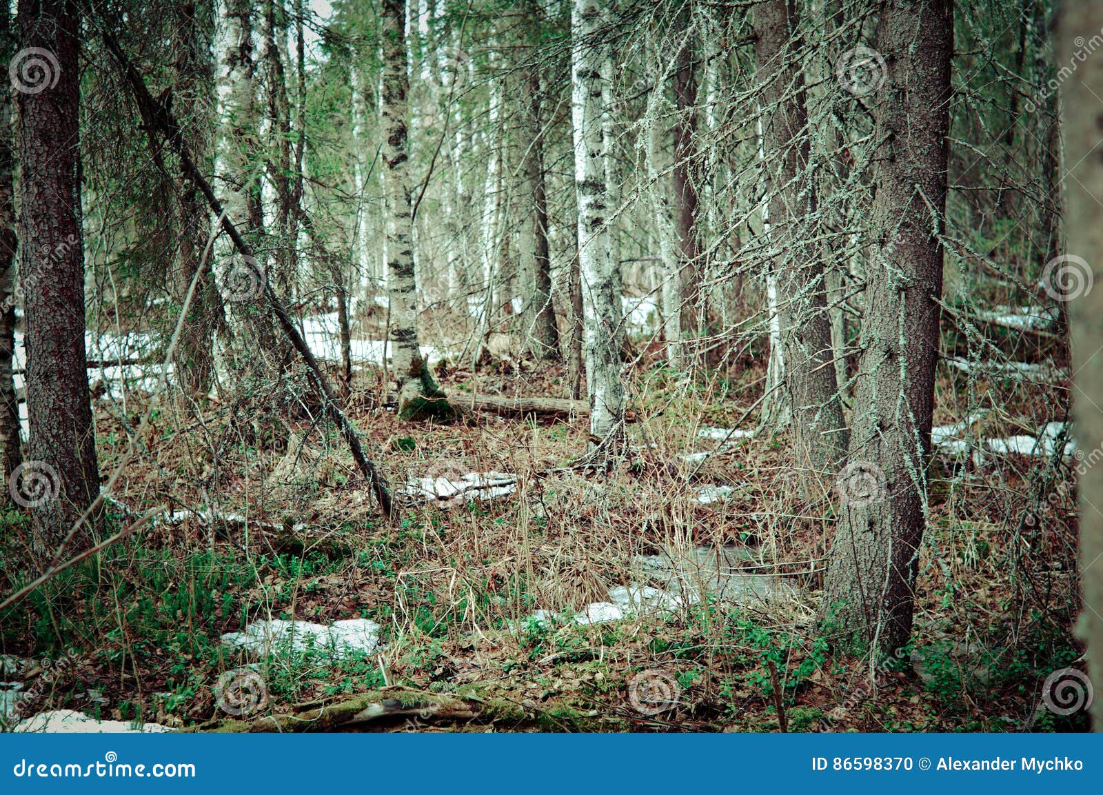 Snowy spring landscape stock photo. Image of nature, weather - 86598370