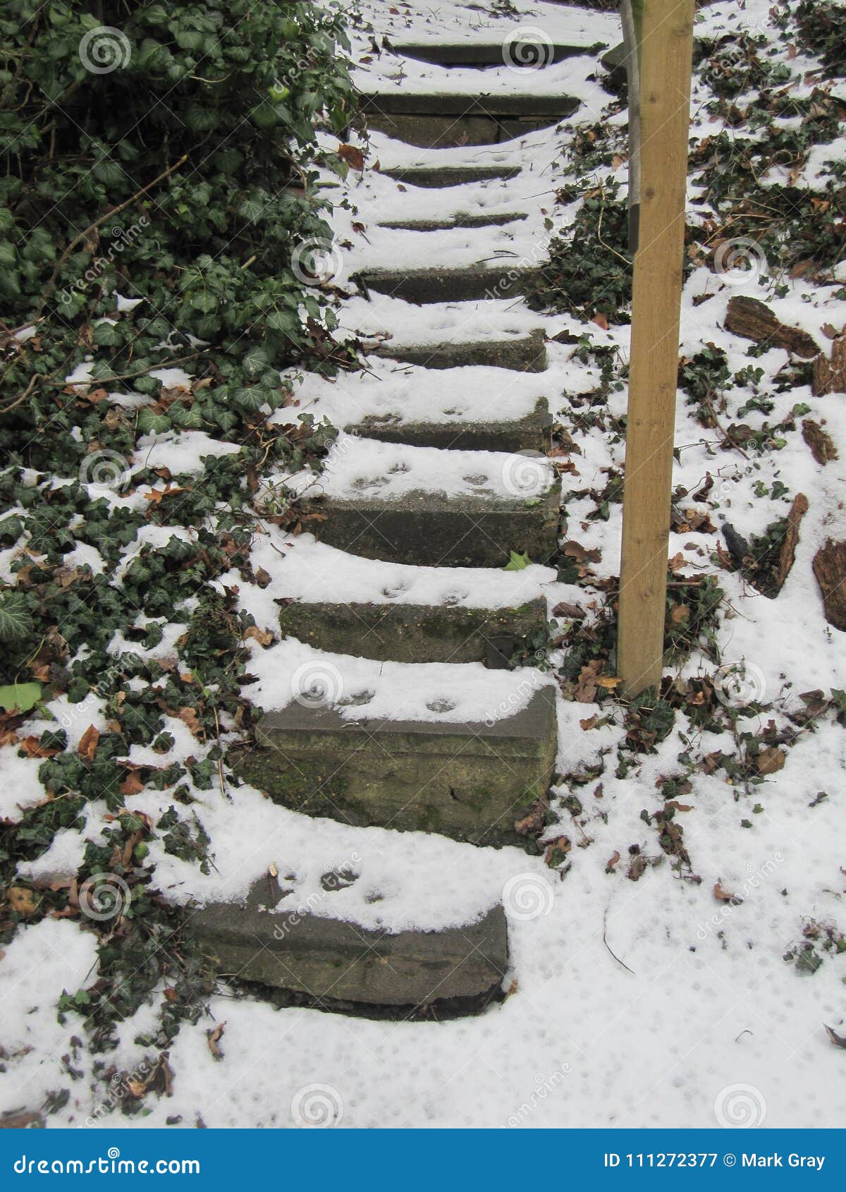 Snowy Steps stock image. Image of winter, steps, snowy - 111272377