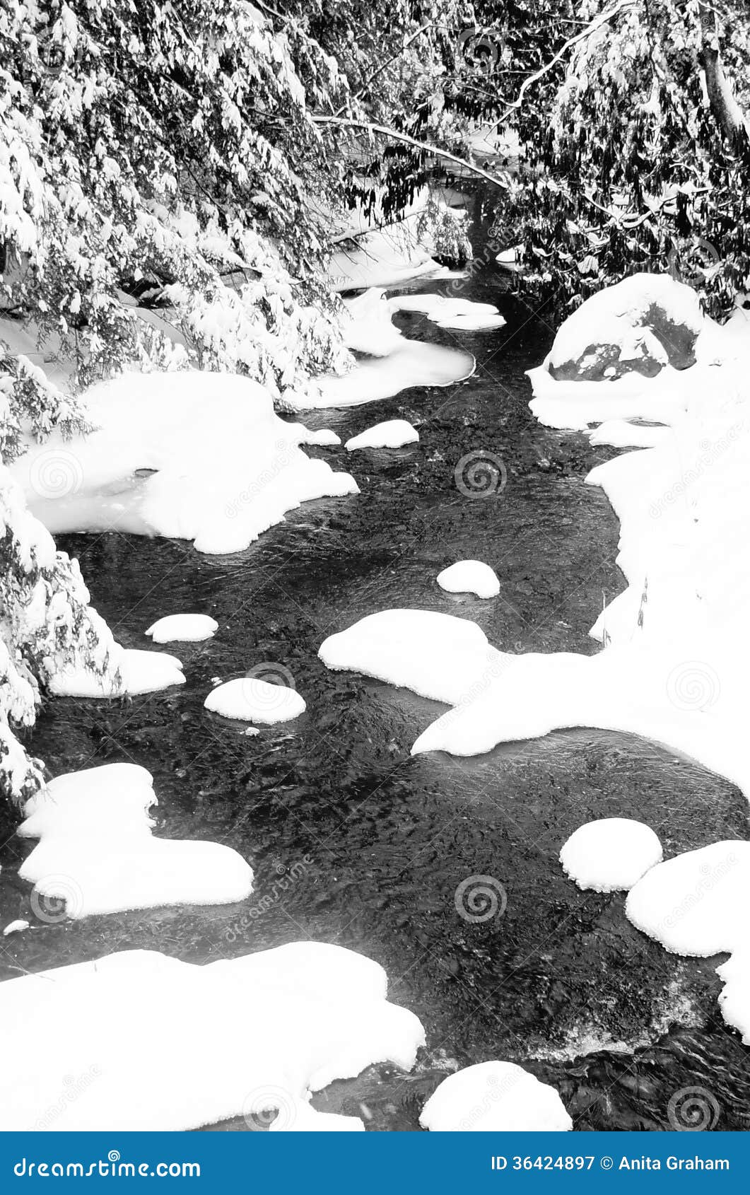 Snowy stream stock image. Image of cold, babbling, trees - 36424897