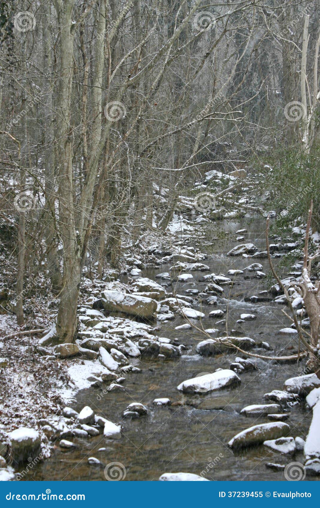 Snowy Stream stock image. Image of cold, river, snow - 37239455