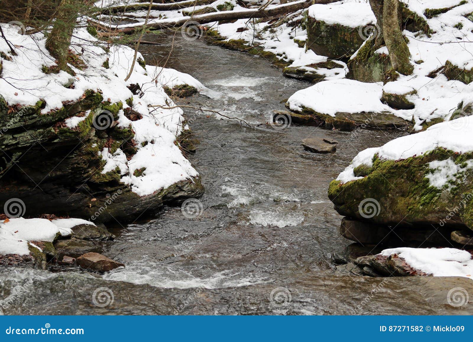 Snowy stream stock photo. Image of covered, snow, wood - 87271582