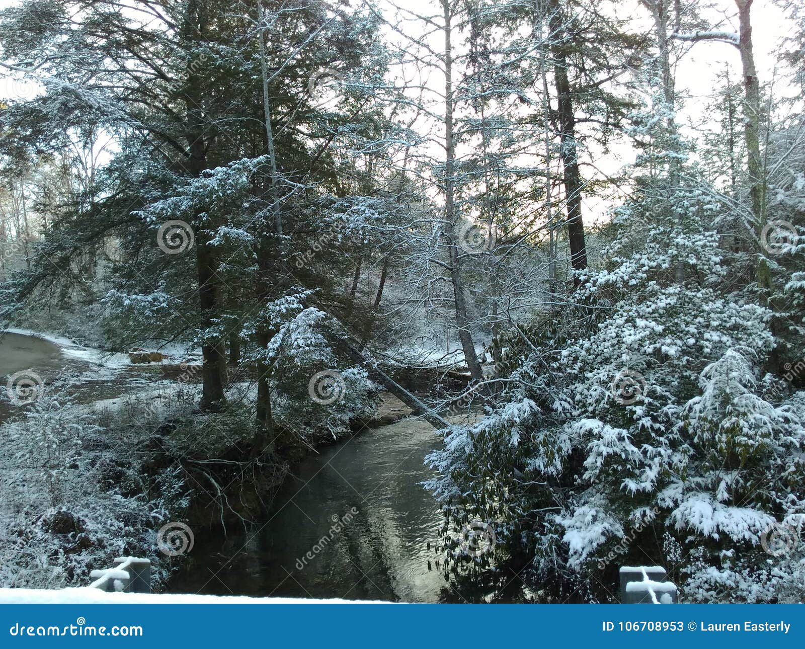 Snowy Stream stock image. Image of trail, wilderness - 106708953