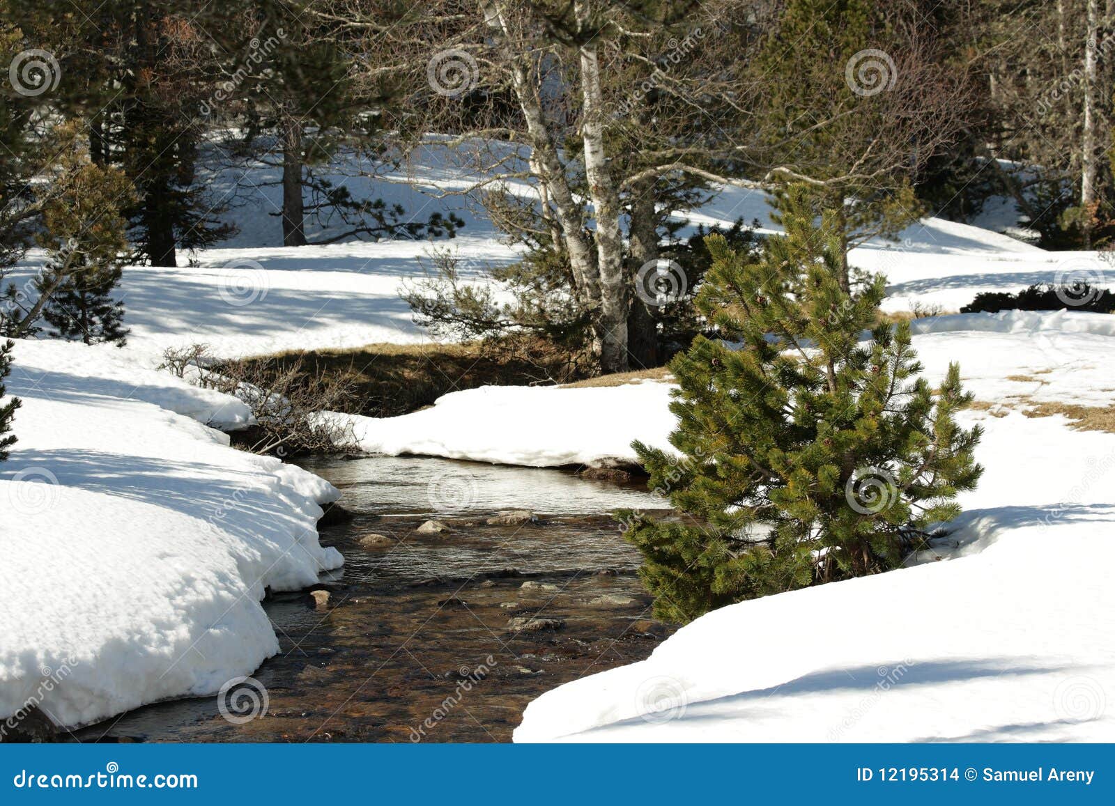 Snowy stream in Pyrenees stock photo. Image of pyrenees - 12195314