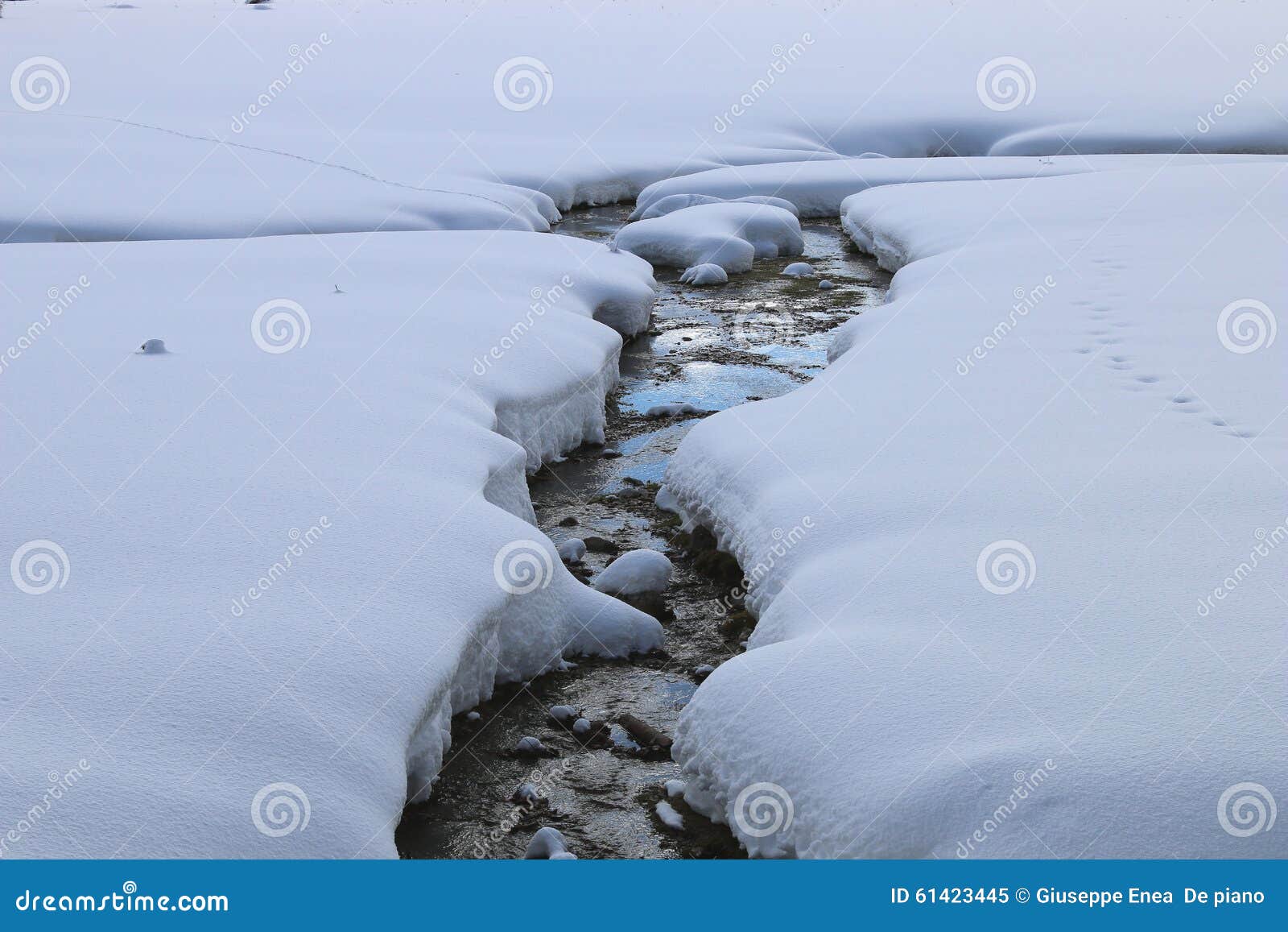 Snowy stream stock image. Image of snowy, snow, nature - 61423445