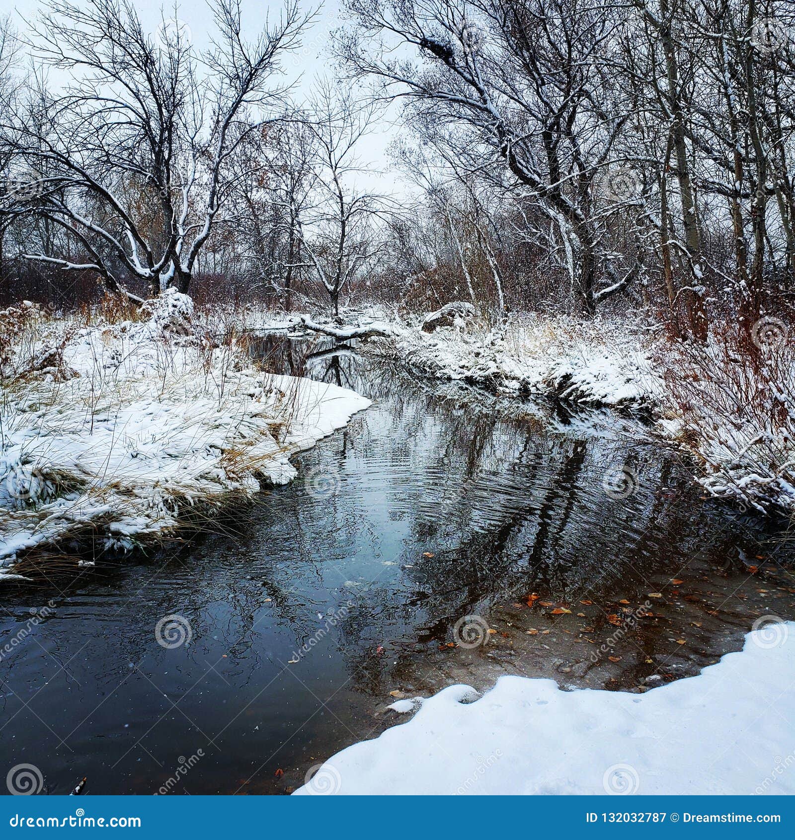 Snowy stream stock image. Image of snowy, lake, forest - 132032787