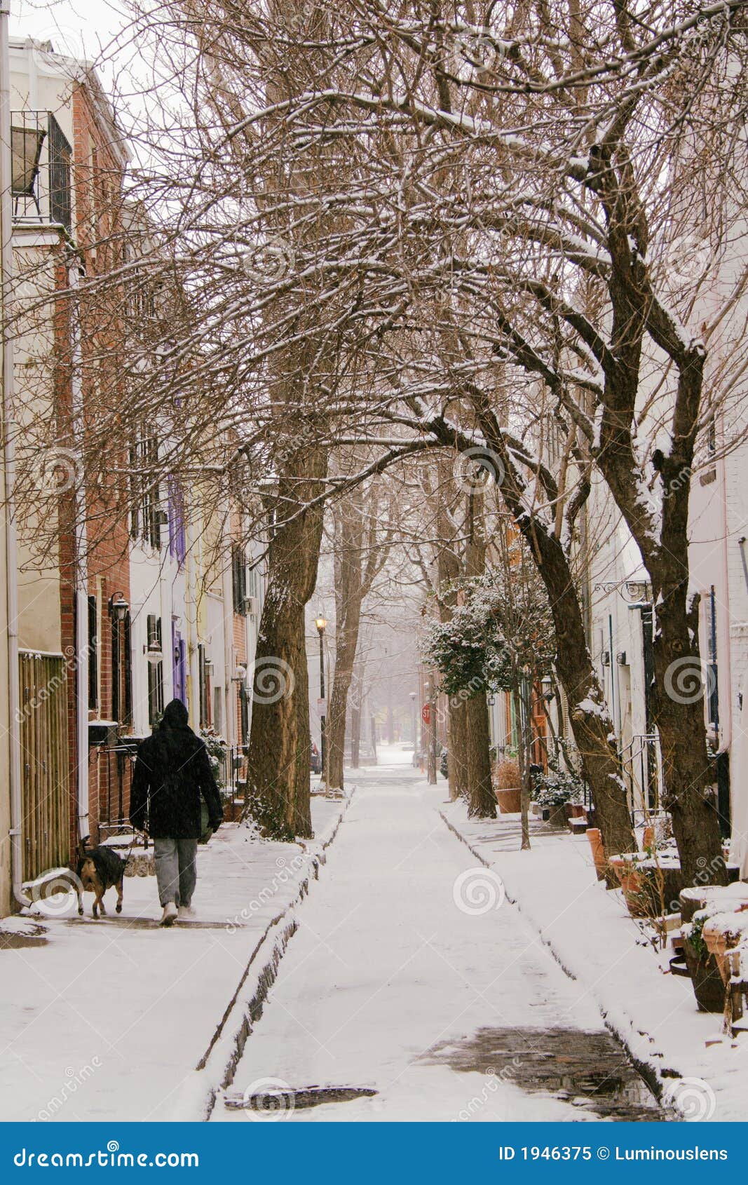 Snowy Street stock image. Image of natural, cold, idyllic - 1946375