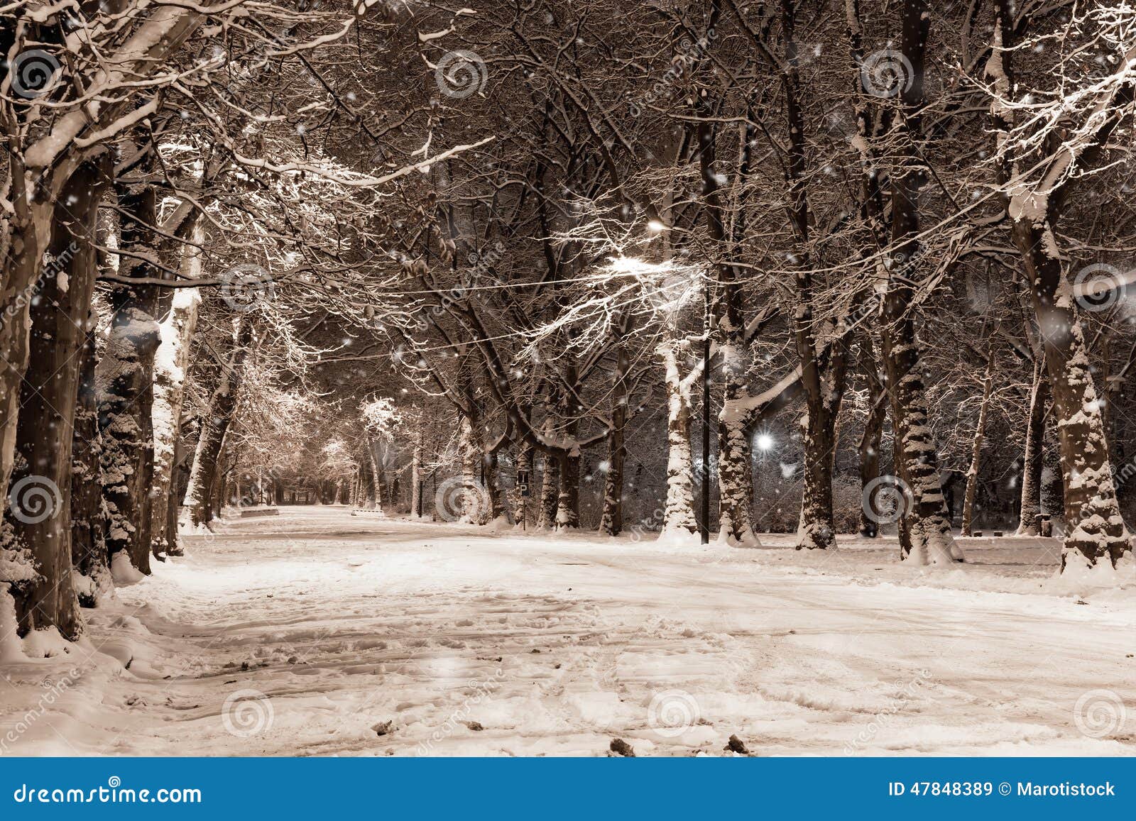 Snowy street stock image. Image of city, night, scene - 47848389