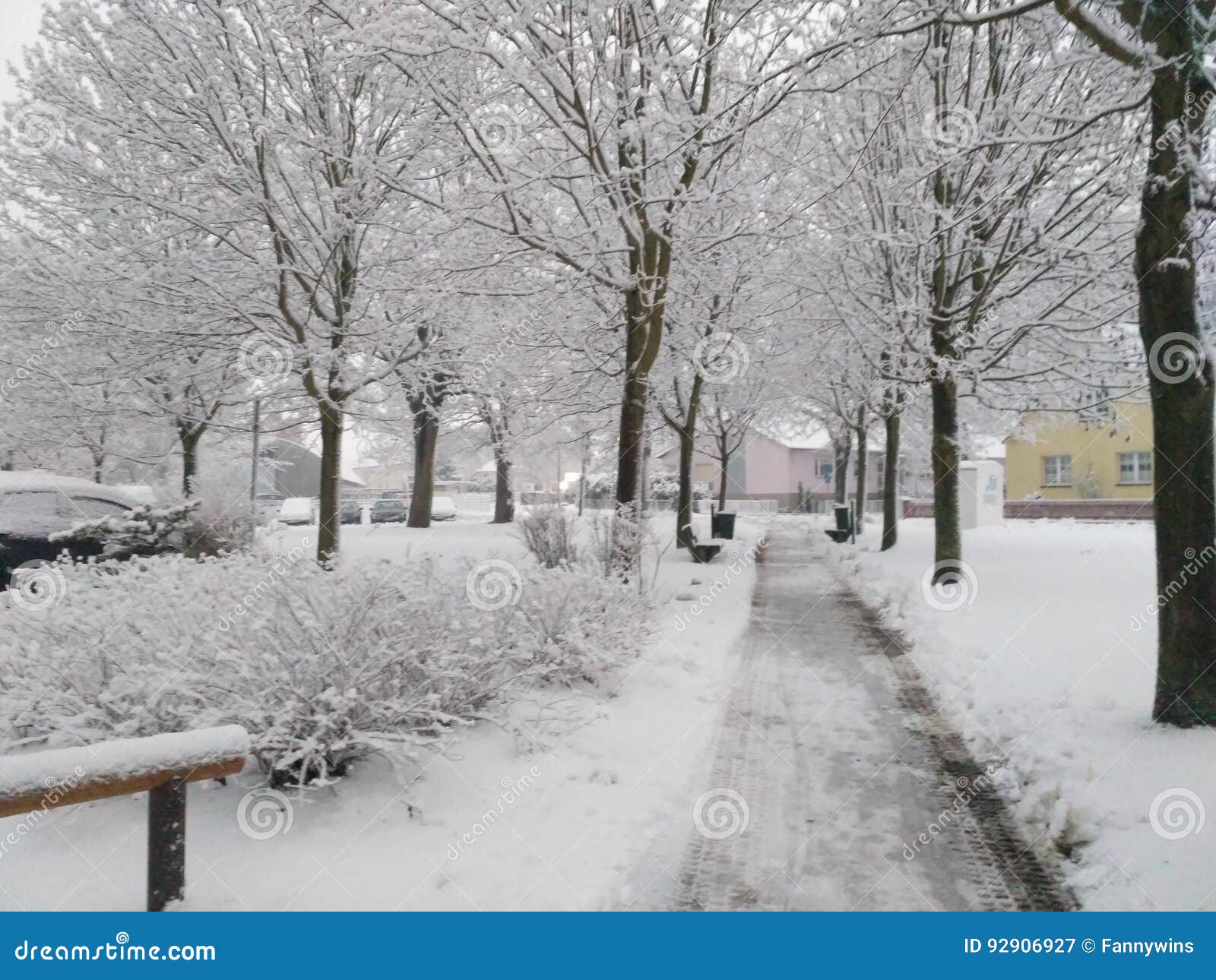Snowy street stock image. Image of street, trees, white - 92906927