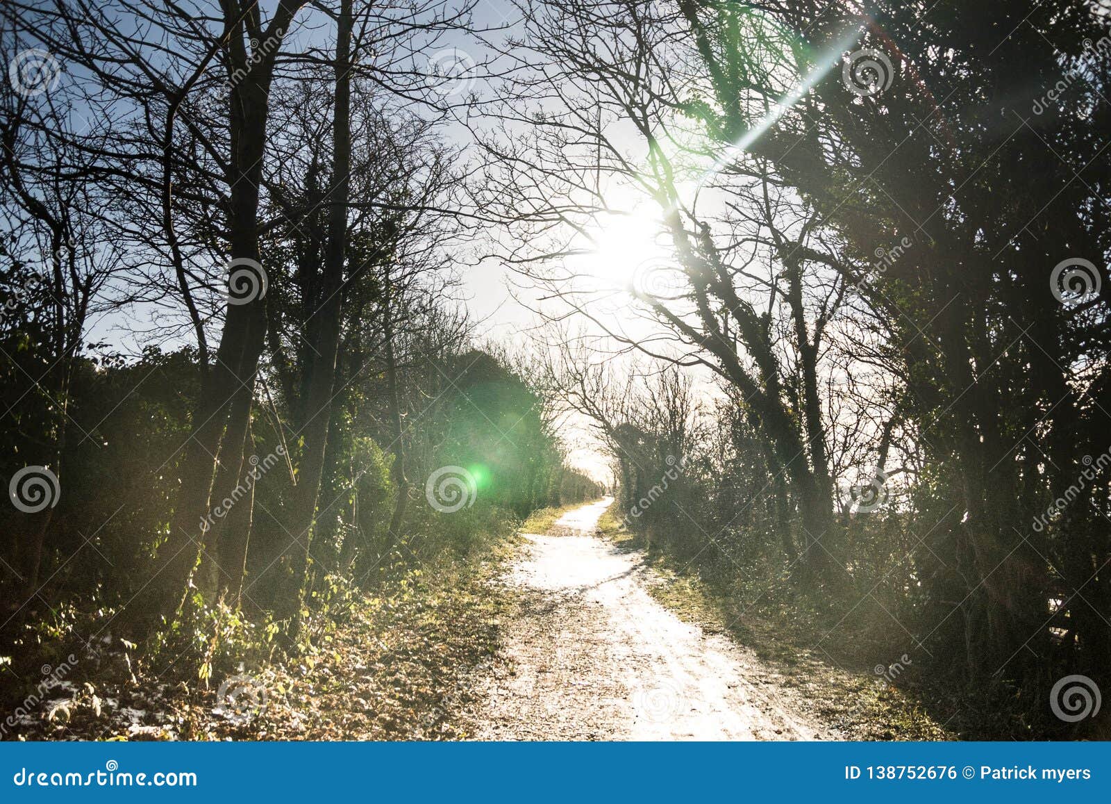 Snowy track stock photo. Image of flare, river, track - 138752676