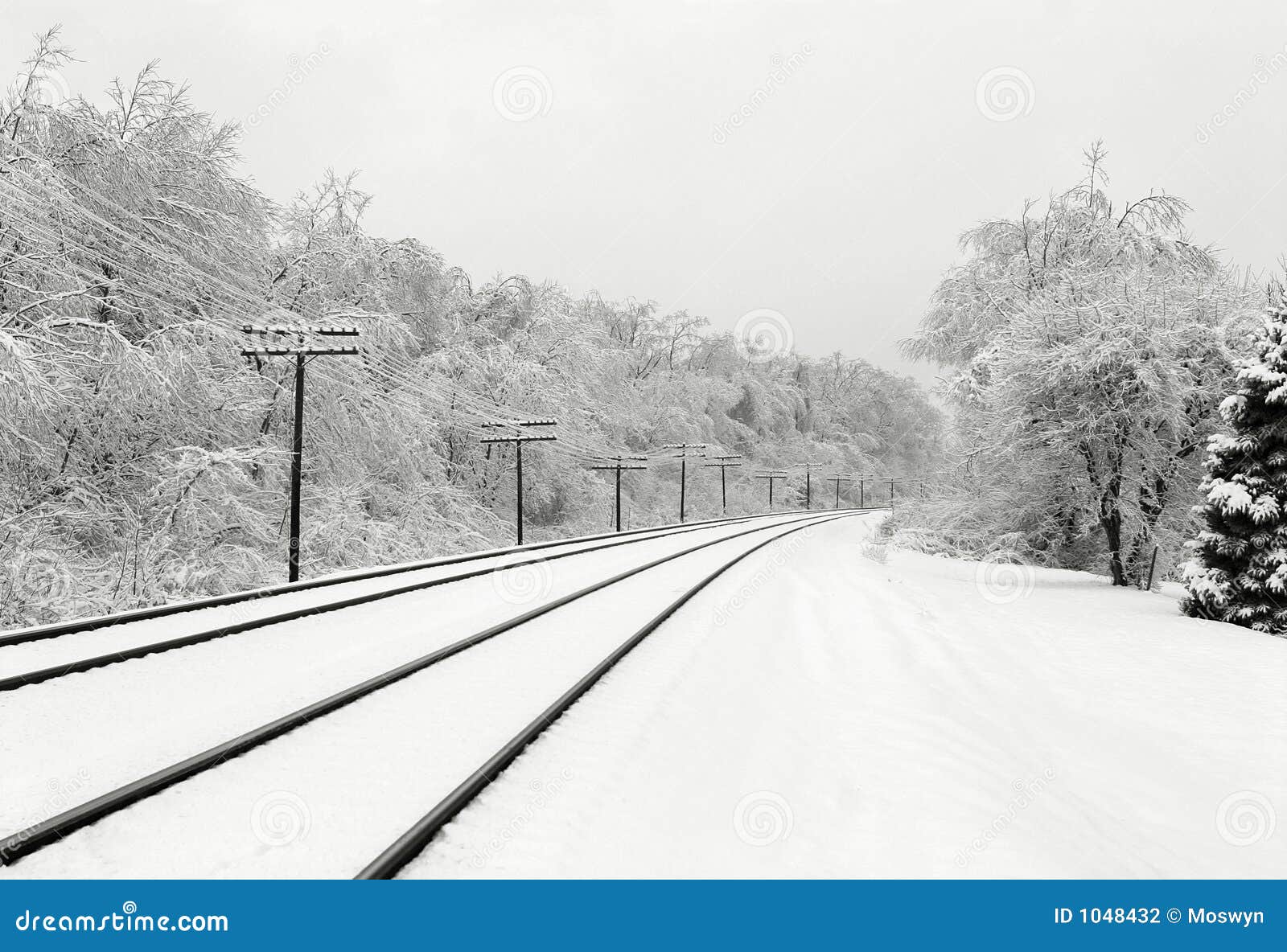 Snowy Tracks stock photo. Image of tree, track, tracks - 1048432