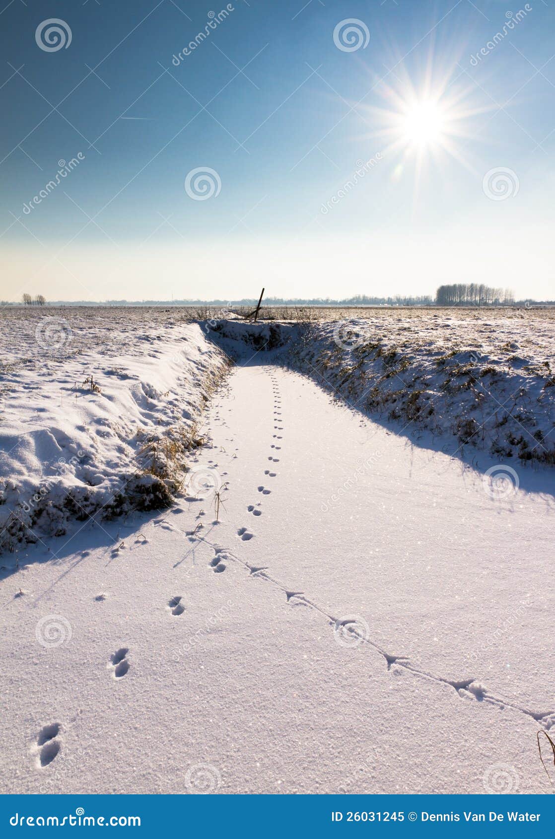 Snowy tracks stock image. Image of background, outdoors - 26031245