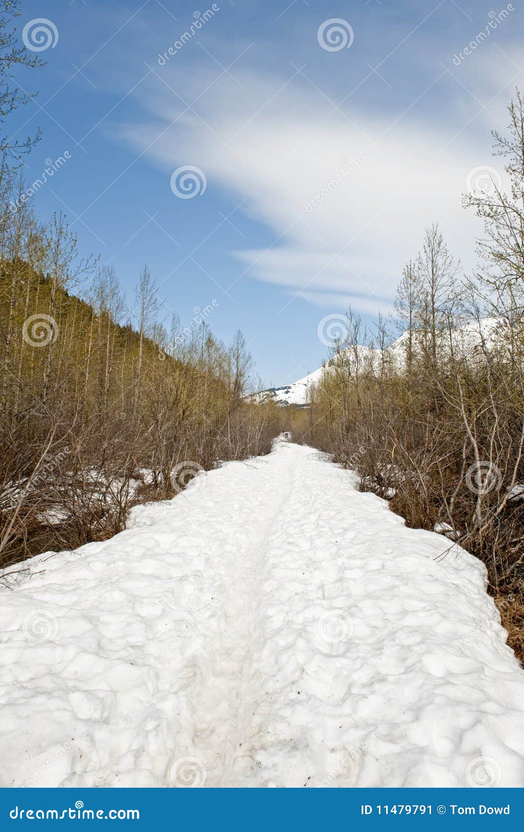 Snowy trail stock image. Image of cold, mountain, snow - 11479791