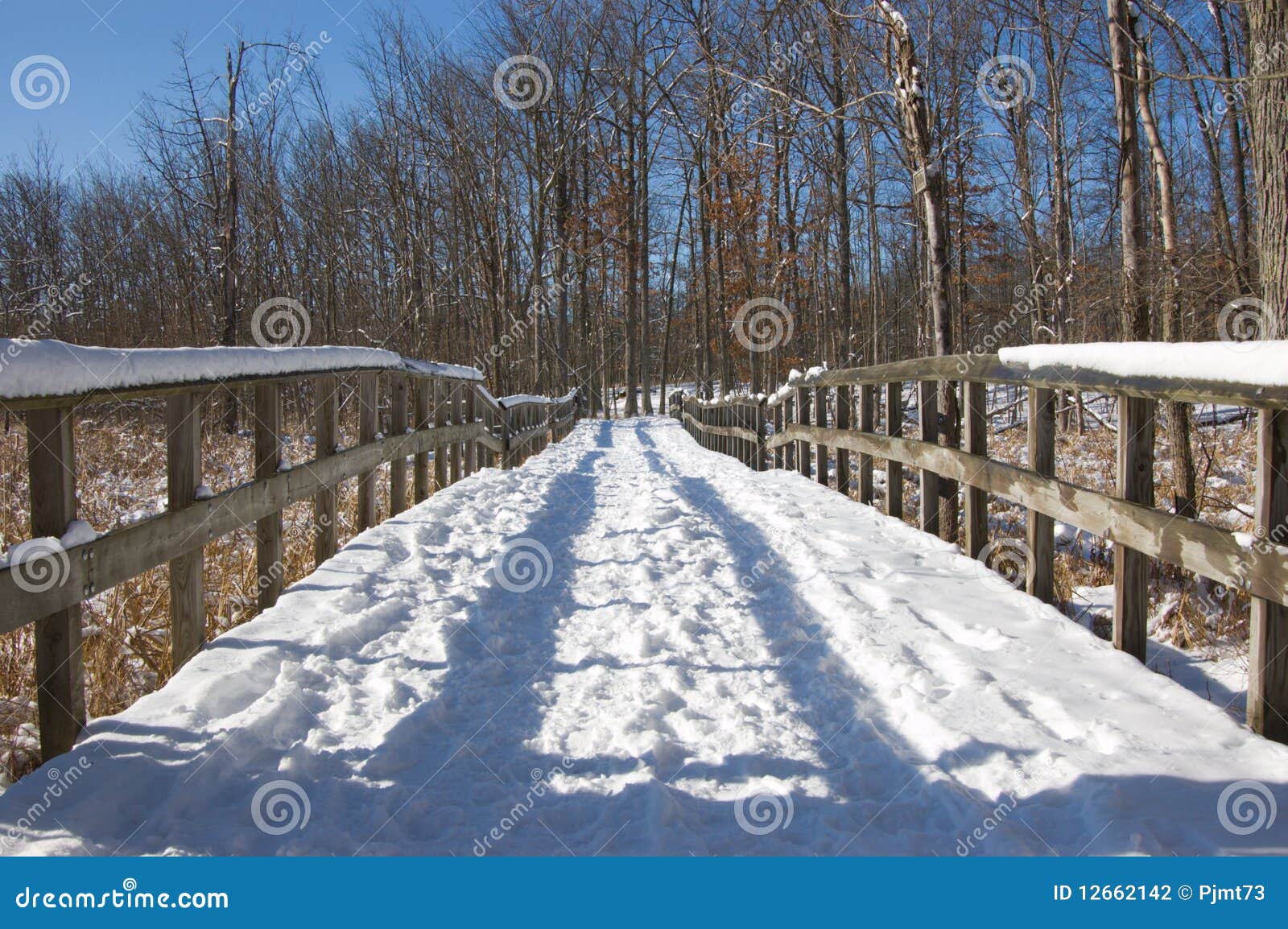 Snowy Trail stock photo. Image of trail, freeze, park - 12662142