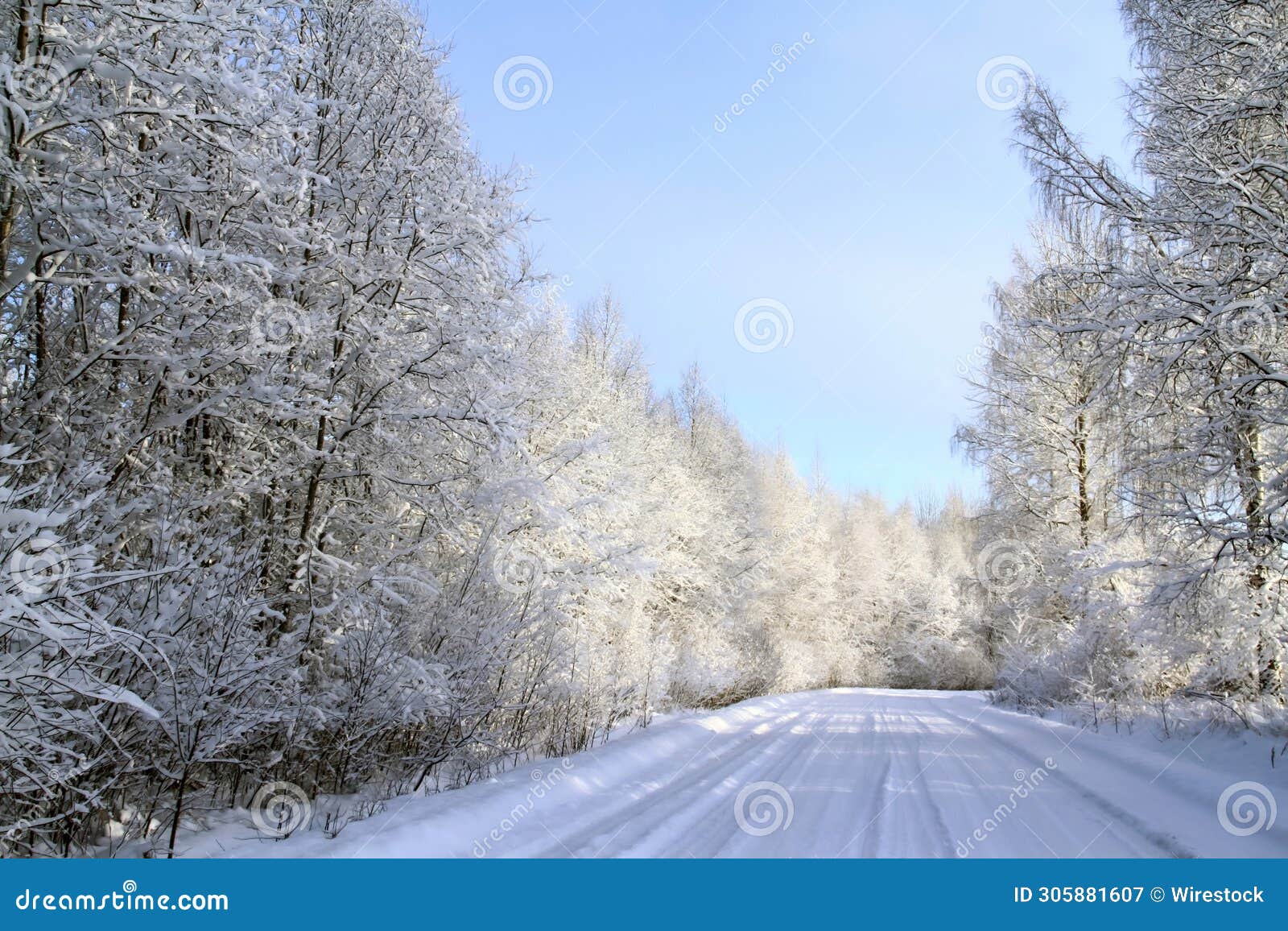 A Snowy Trail on a Clear Day in a Forest with Trees Stock Image - Image ...