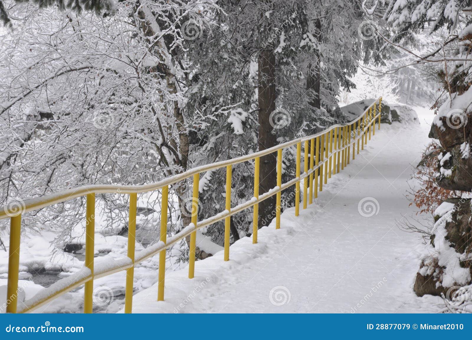 Snowy trail in the park stock image. Image of landscape - 28877079