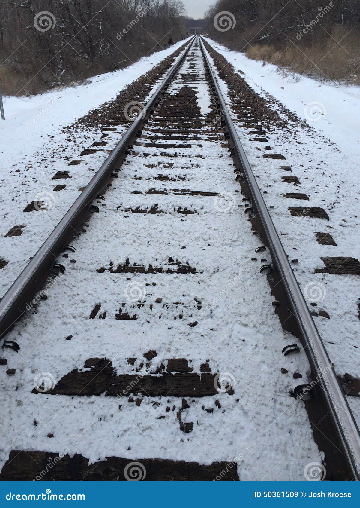 Snowy train tracks stock image. Image of train, snow - 50361509