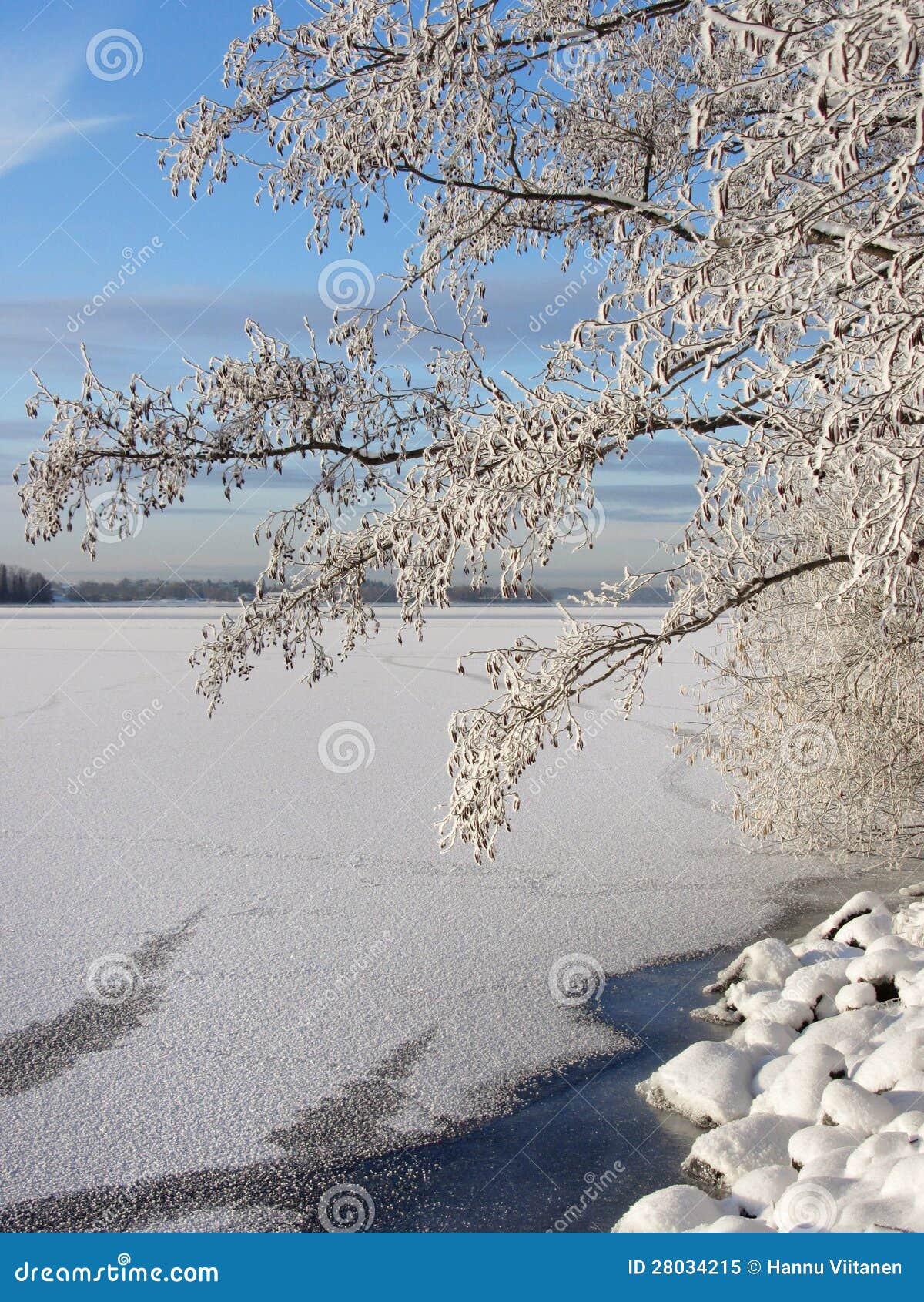 Snowy Tree Near Frozen Lake Stock Image - Image of snow, weather: 28034215