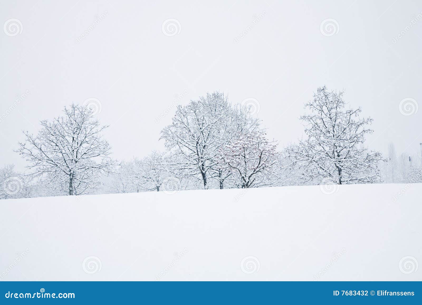Snowy Trees stock photo. Image of outside, winter, outdoor - 7683432