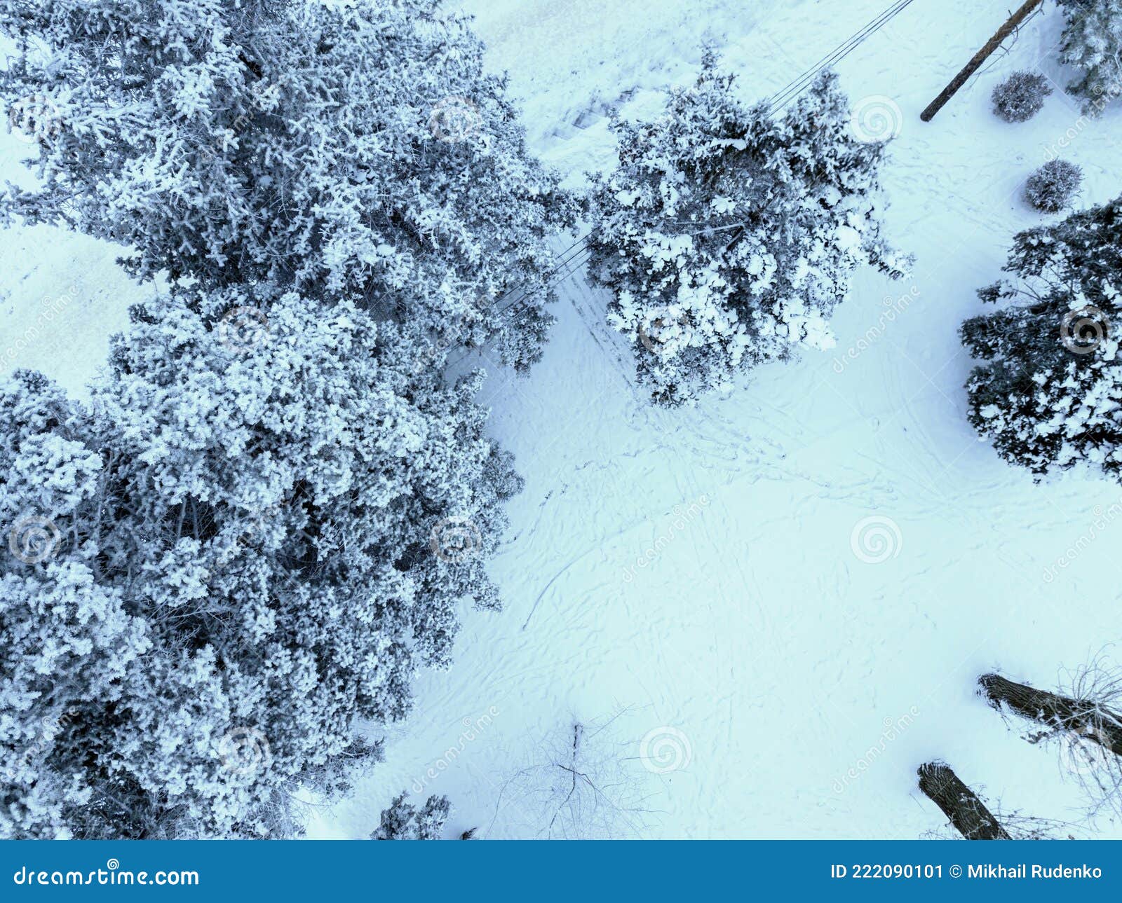 Snowy Trees in Cold Winter Season Top View B Stock Image - Image of ...