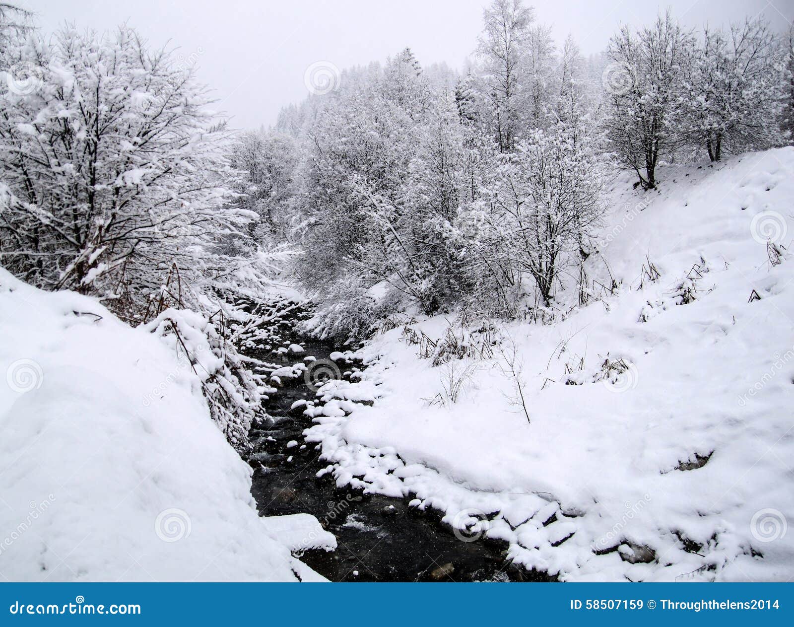 Snowy Trees with Creek in the Winter Stock Image - Image of creek, blue ...