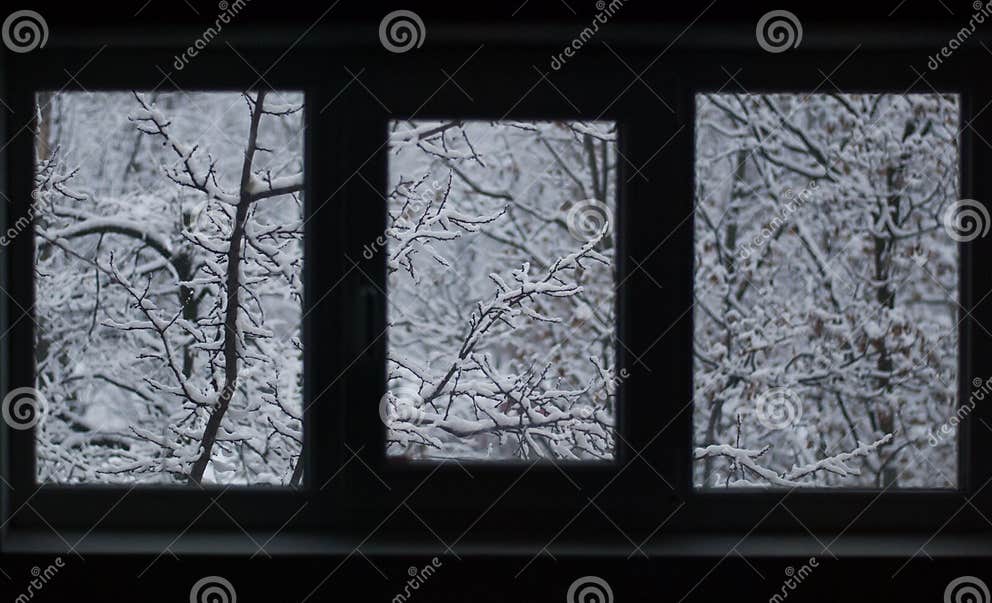 Snowy Trees Outside the Window in Winter Stock Photo - Image of season ...