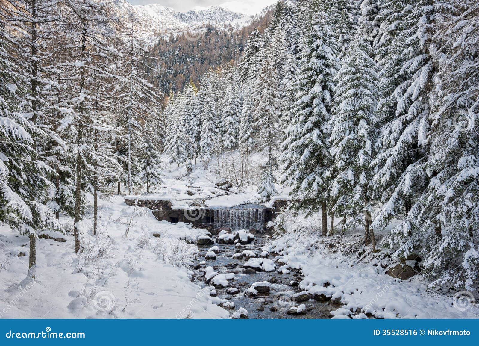 Snowy valley stock photo. Image of lombardy, valley, trees - 35528516